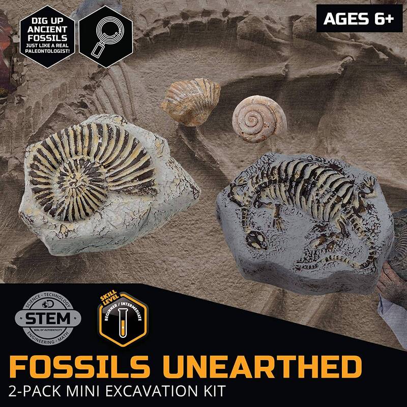 Smithsonian STEM - Amazing Marketing